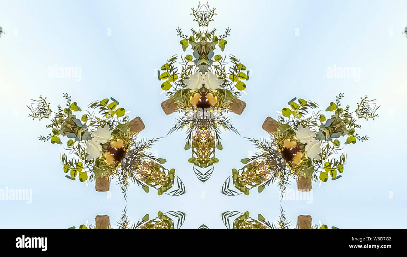 Panorama frame Interesting geometric design shapes of a floral pattern ...