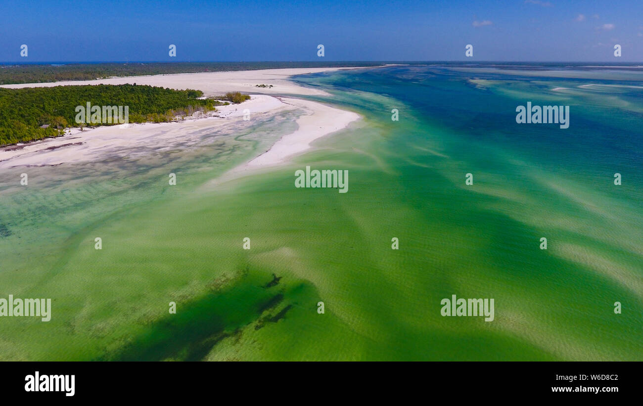Tropical paradise island Zanzibar aerial view. Place the mangrove ...