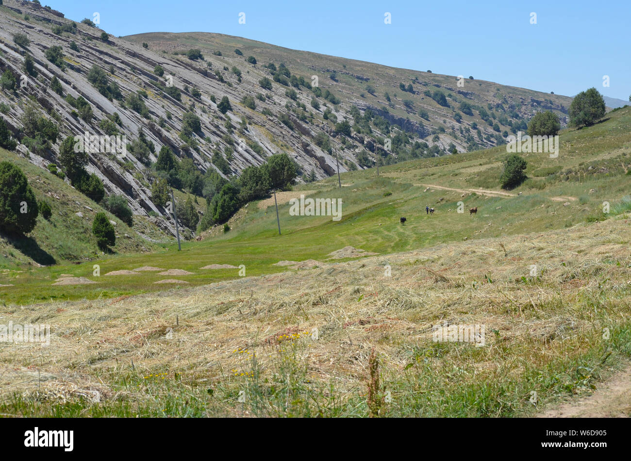 Hissar or Gissar mountains, a nature reserve within the Pamir-Alay ...