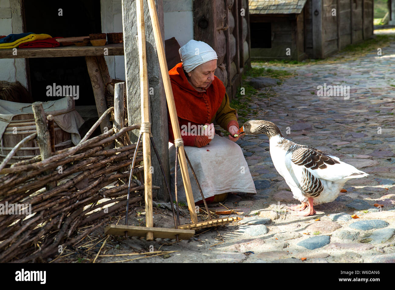 woman is hand feeding a goose in the little medieval village ...