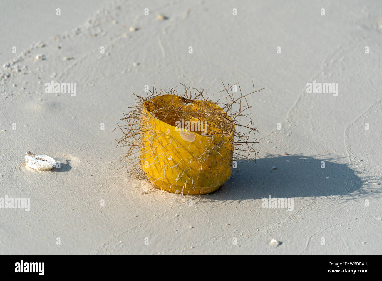 plastic and rubbish on desert tropical island paradise sandy beach ...