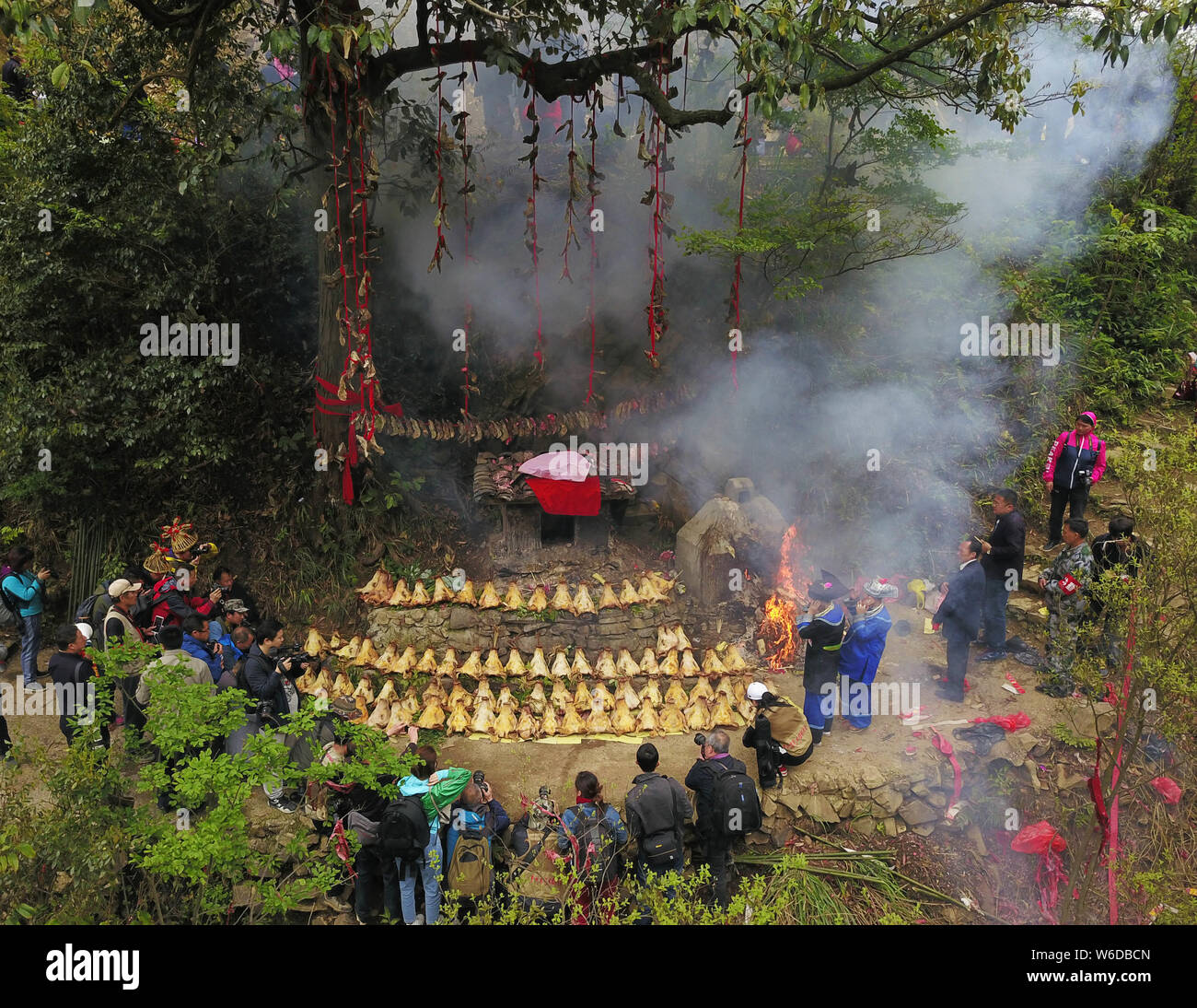 The pig's heads carried by Chinese people of Miao ethnic group dressed ...