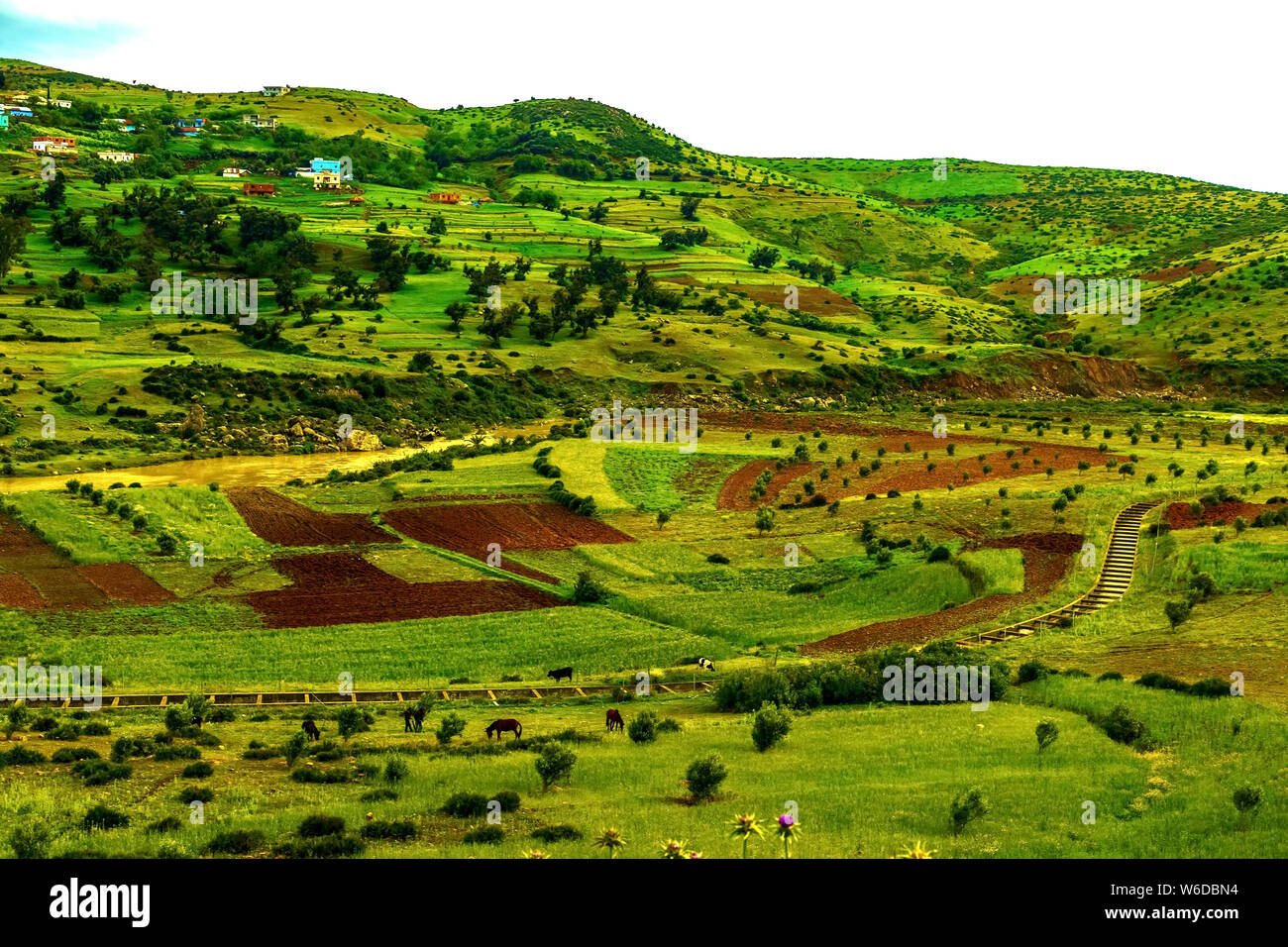 Beautiful mountain landscape. View of the mountains and the valley with ...