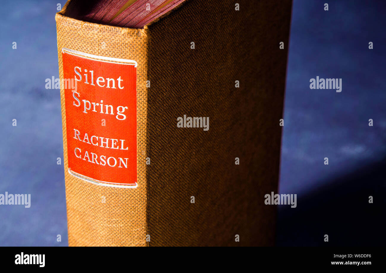 Rachel spring hi-res stock photography and images - Alamy