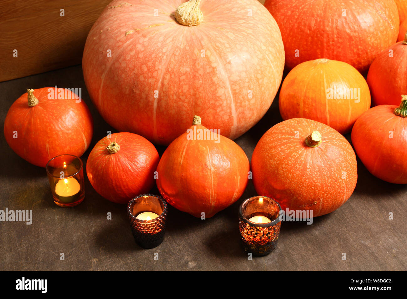 Lot of pumpkins hi-res stock photography and images - Alamy