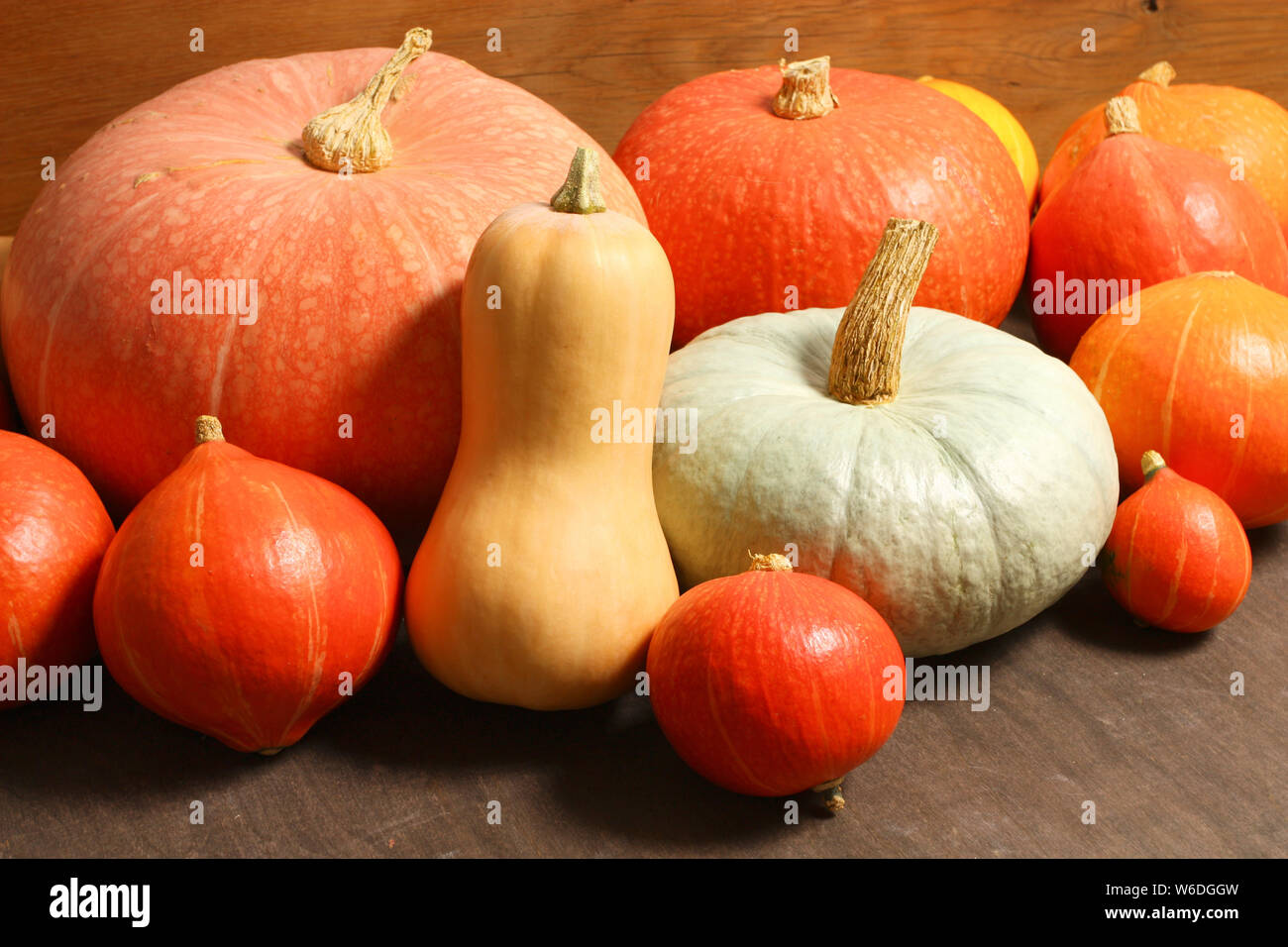 Composition of pumpkins in various sizes Stock Photo - Alamy