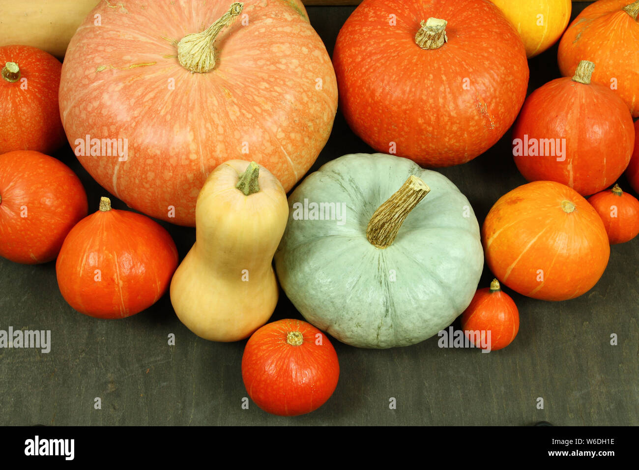 Shapes and sizes of pumpkins hi-res stock photography and images - Alamy