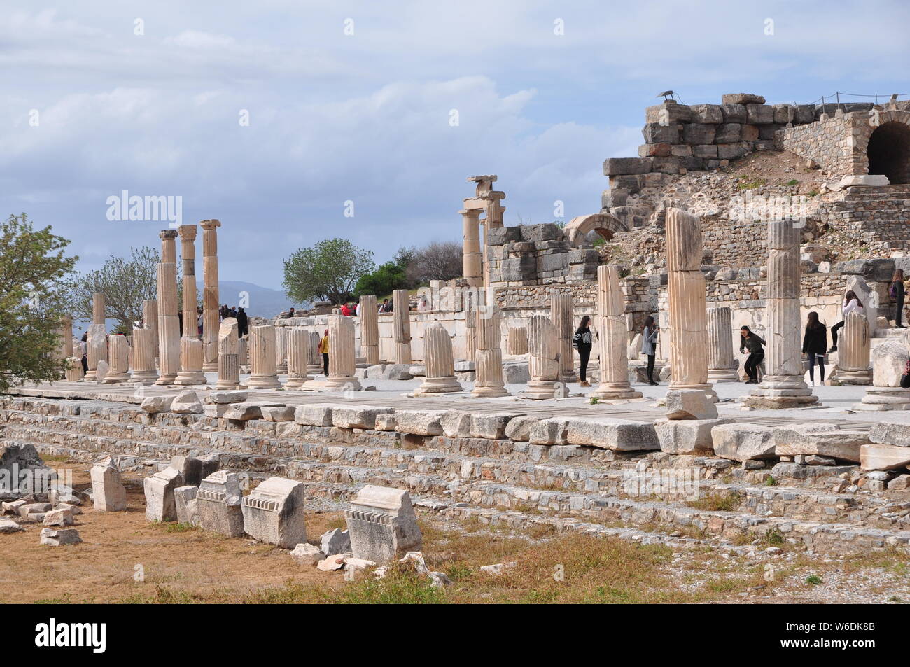 A view of the ruins of the Temple of Artemis in the Ancient Greek city ...