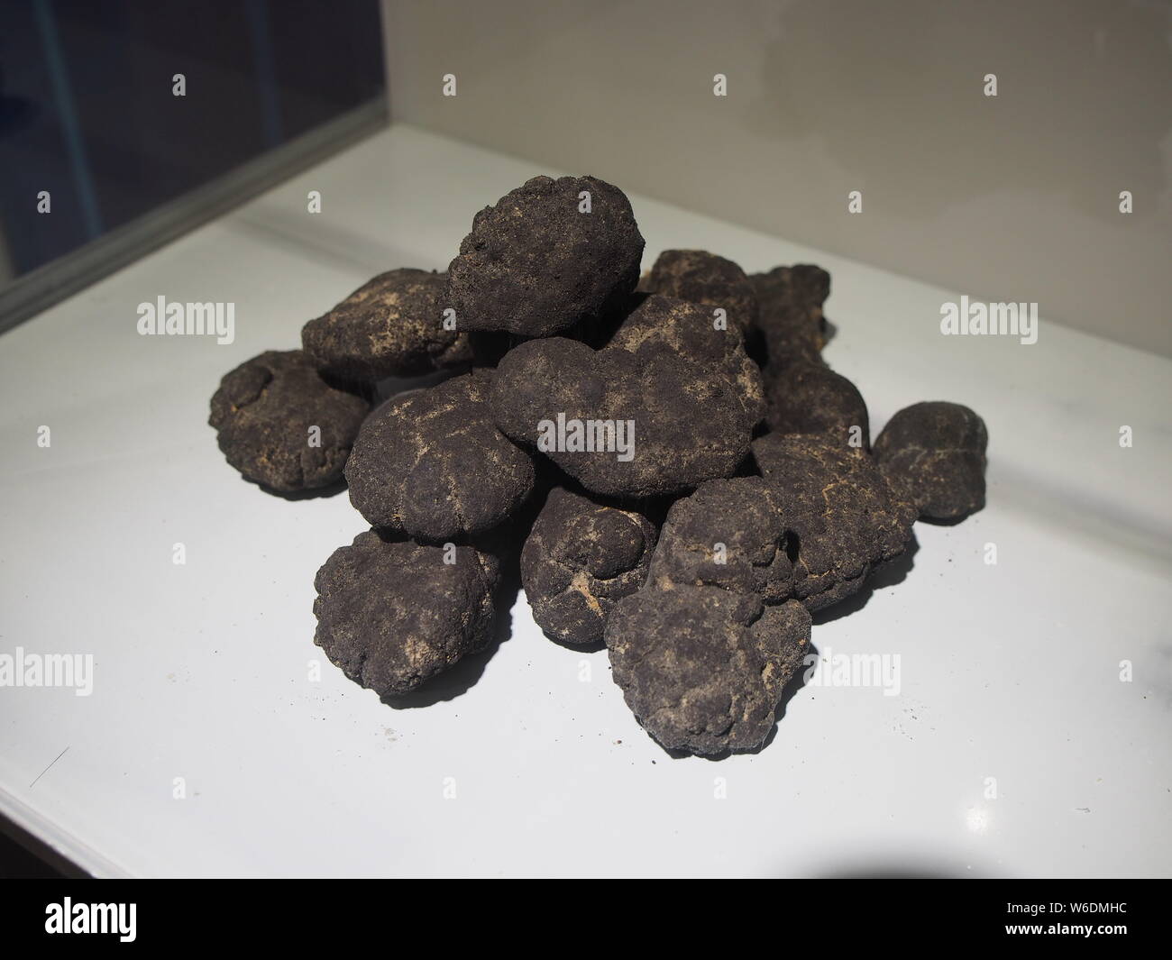 Deep sea display hi-res stock photography and images - Alamy