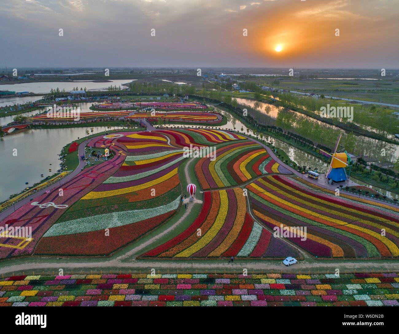 Aerial view of more than 30 million tulips in full blossom at the ...