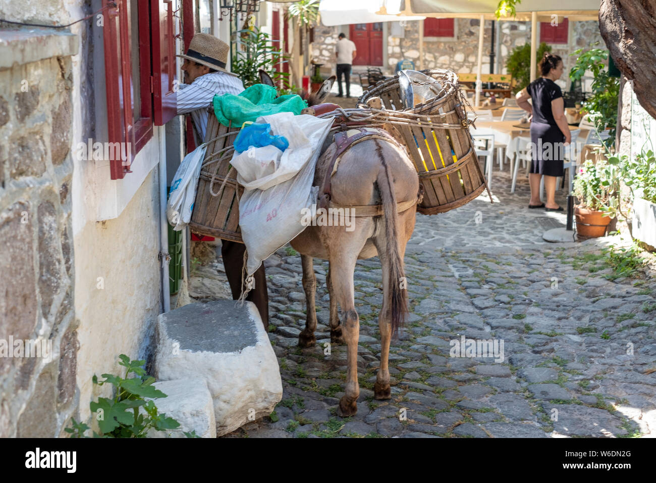 A village scene in rural Greece as a man with his donkey speaks to a ...