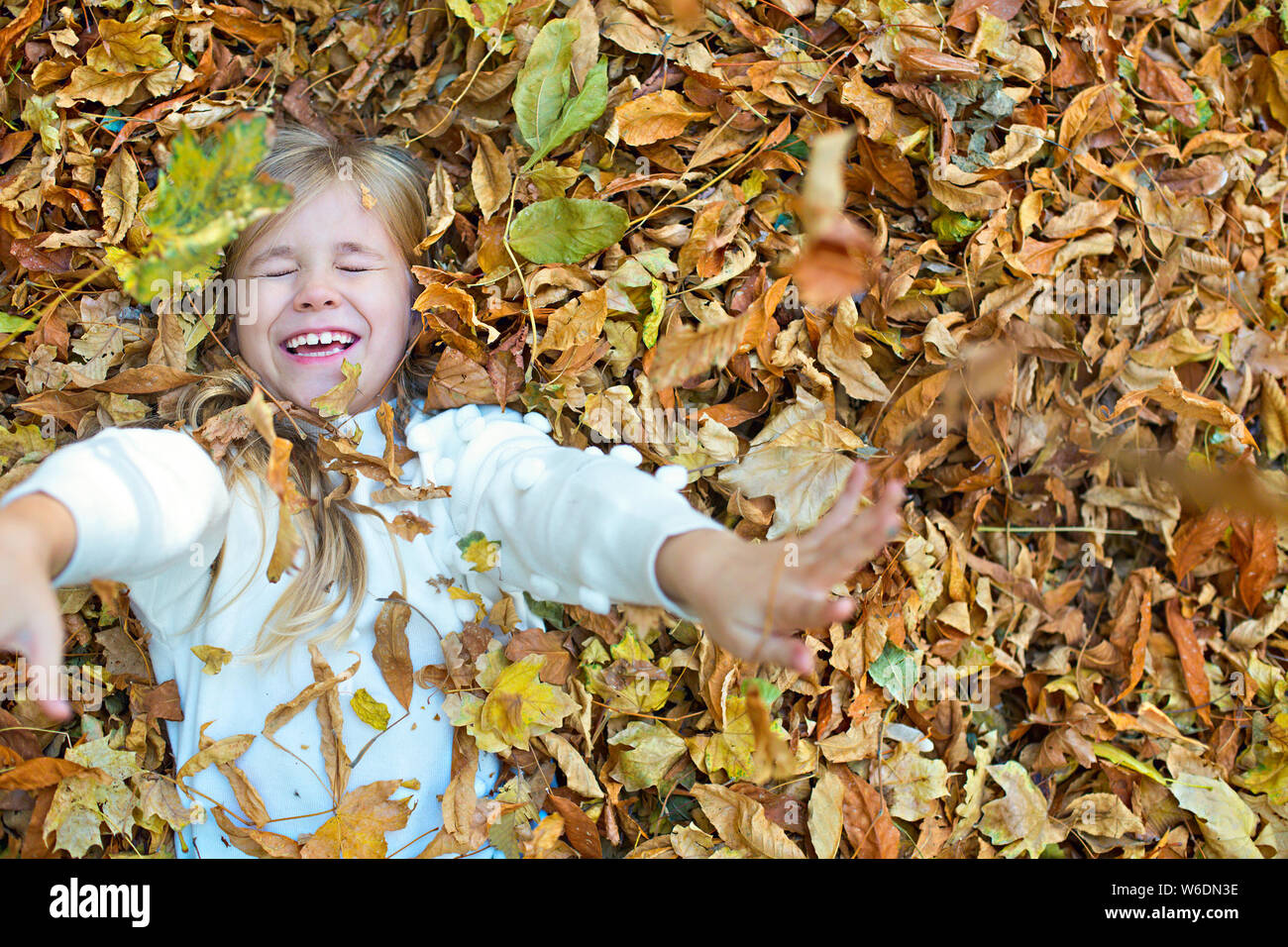 Kid plays in autumn park. Child throwing yellow and red leaves. Little ...