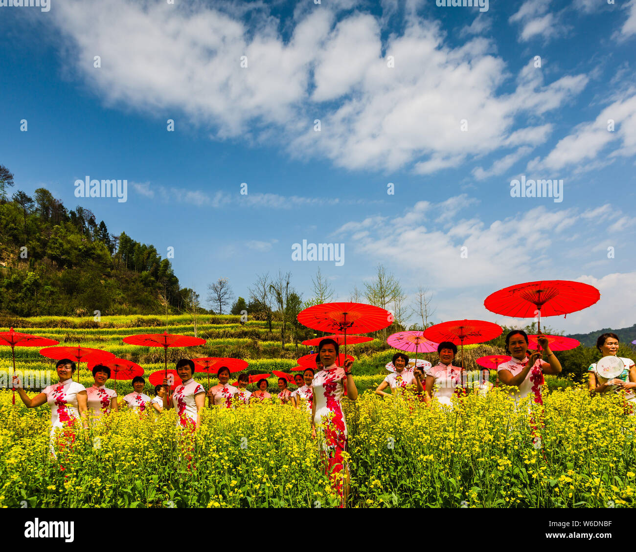 Chinese women present cheongsam, also known as qipao in Chinese, during ...