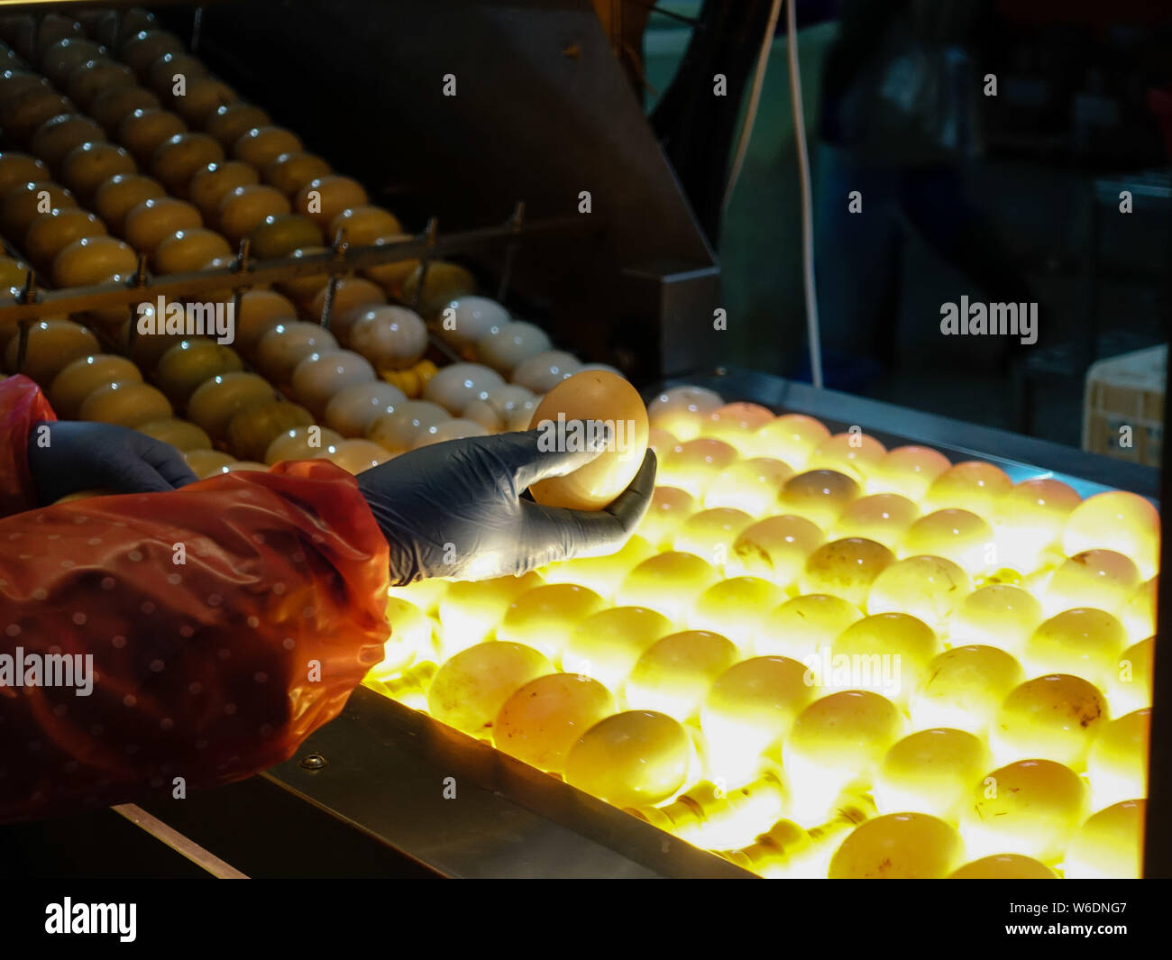 Double yolk duck eggs in gaoyou hi-res stock photography and images - Alamy