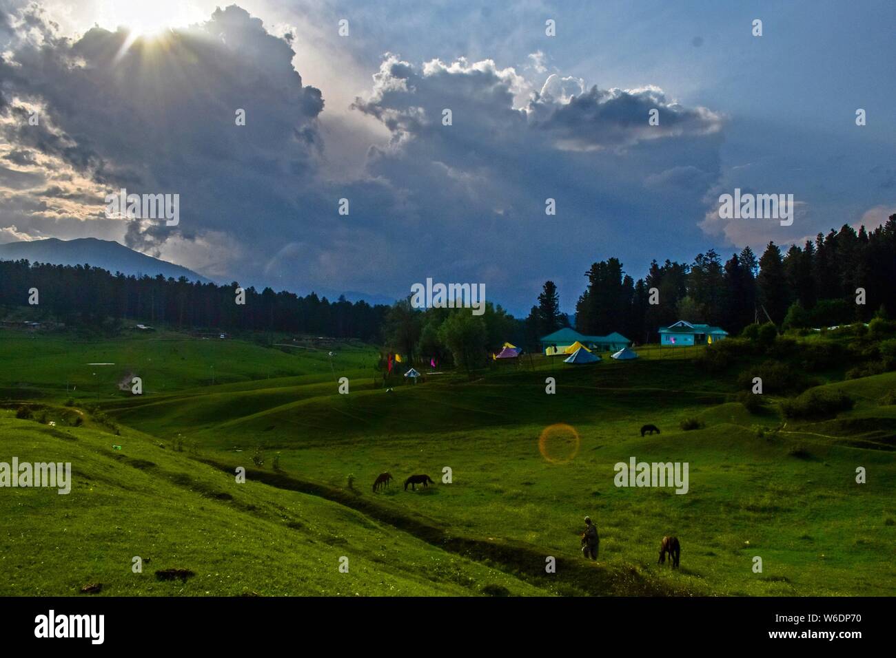 A man walks through a meadow at the Yusmarg hill station about 55kms ...