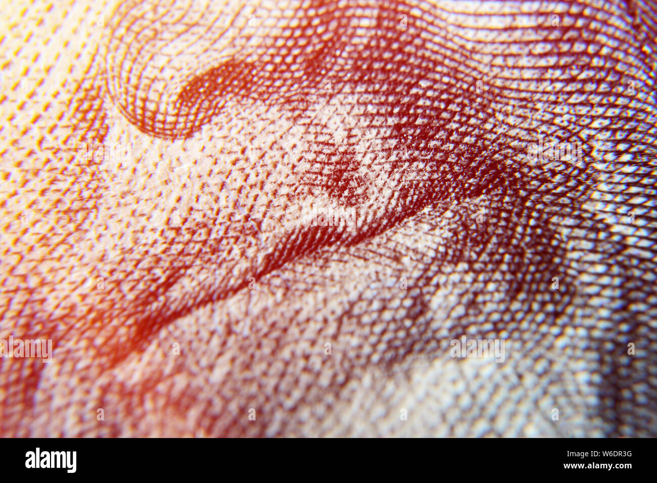 Dolar USA close up. Bennjamin Franklin mouth. The texture of the ...