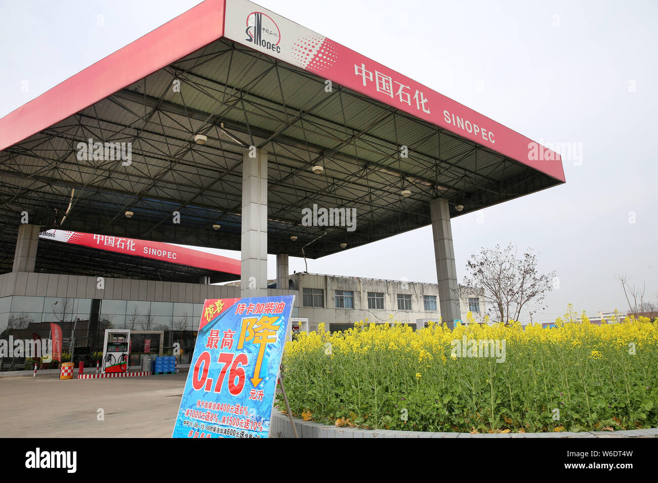 --FILE--View of a gas station of Sinopec in Rugao city, east China's ...