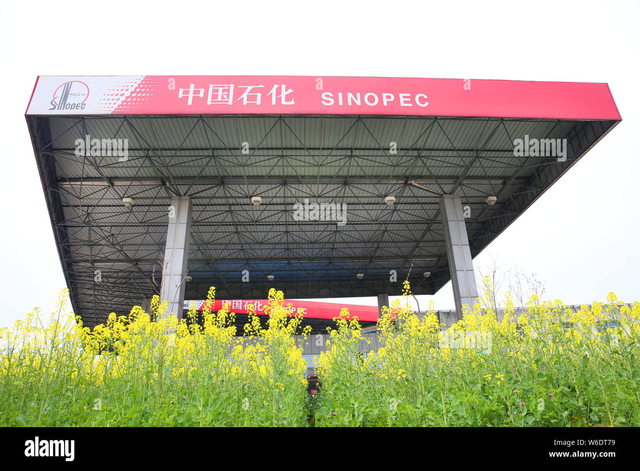 --FILE--View of a gas station of Sinopec in Rugao city, east China's ...