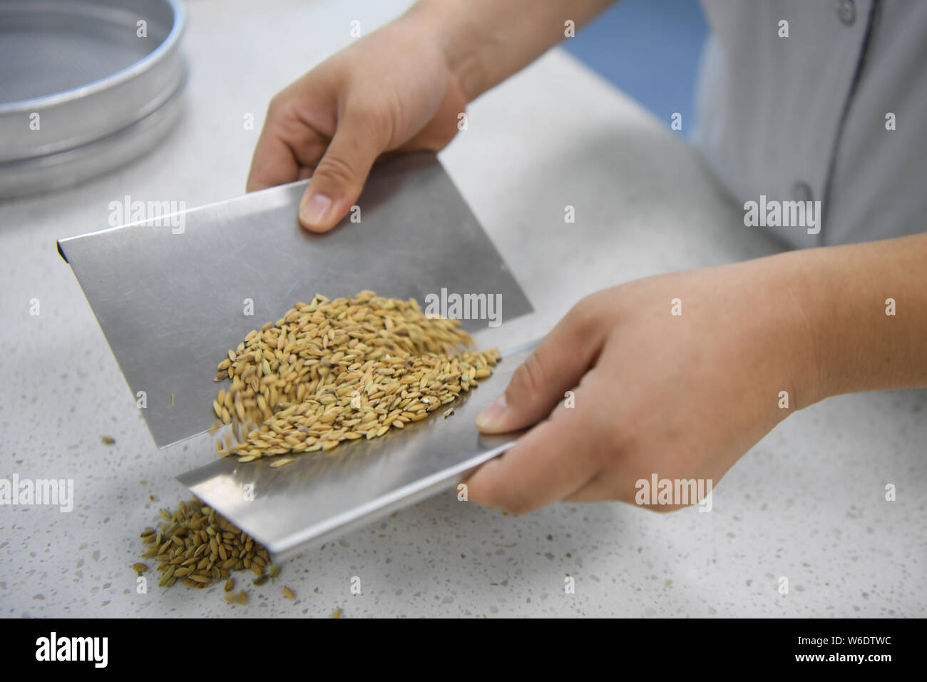 Grain sorts hi-res stock photography and images - Alamy