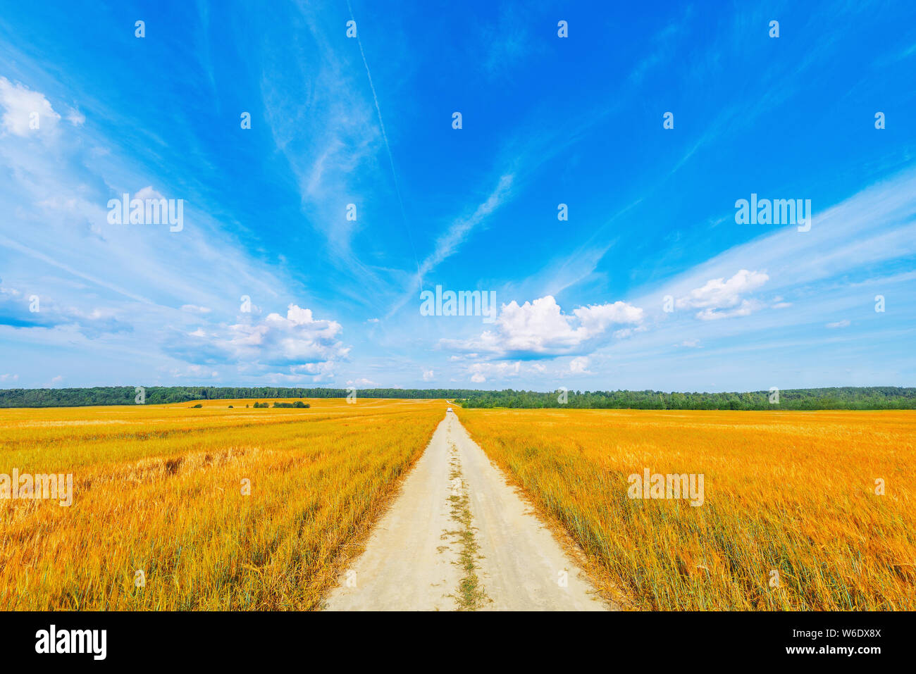 Field with rye and road at hot day time Stock Photo - Alamy