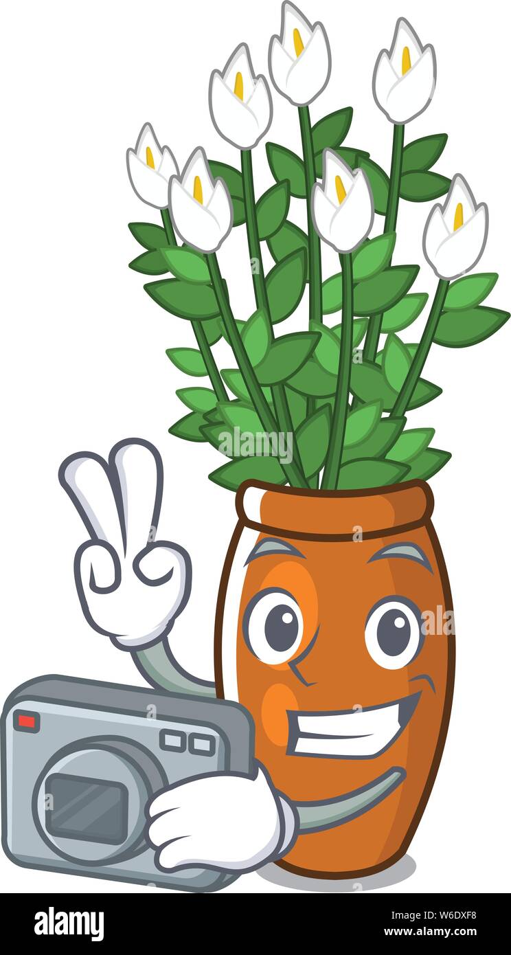 Peace lily photo Stock Vector Images - Alamy