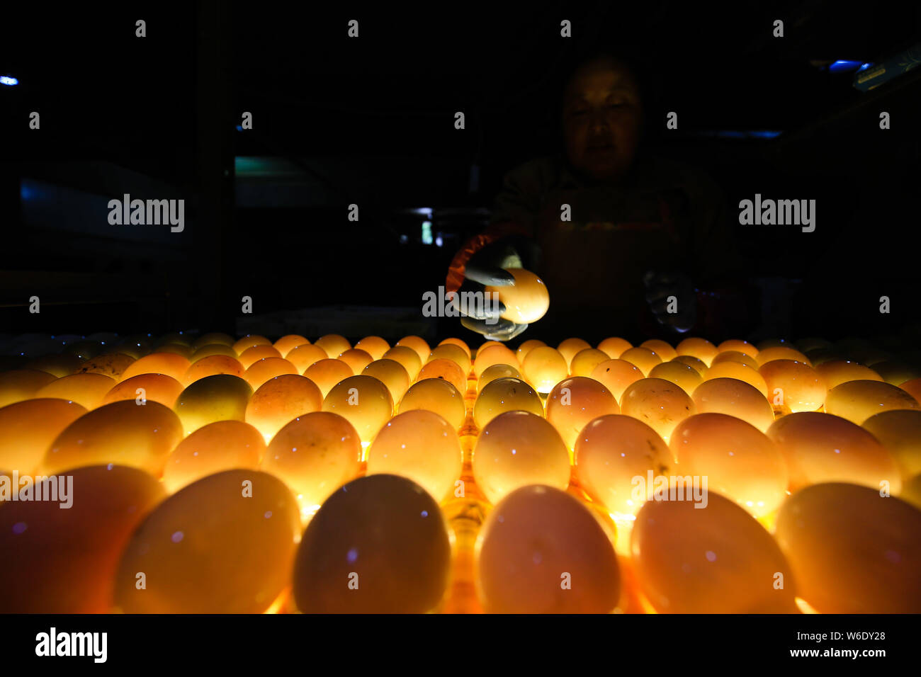 Double yolk duck eggs in gaoyou hi-res stock photography and images - Alamy