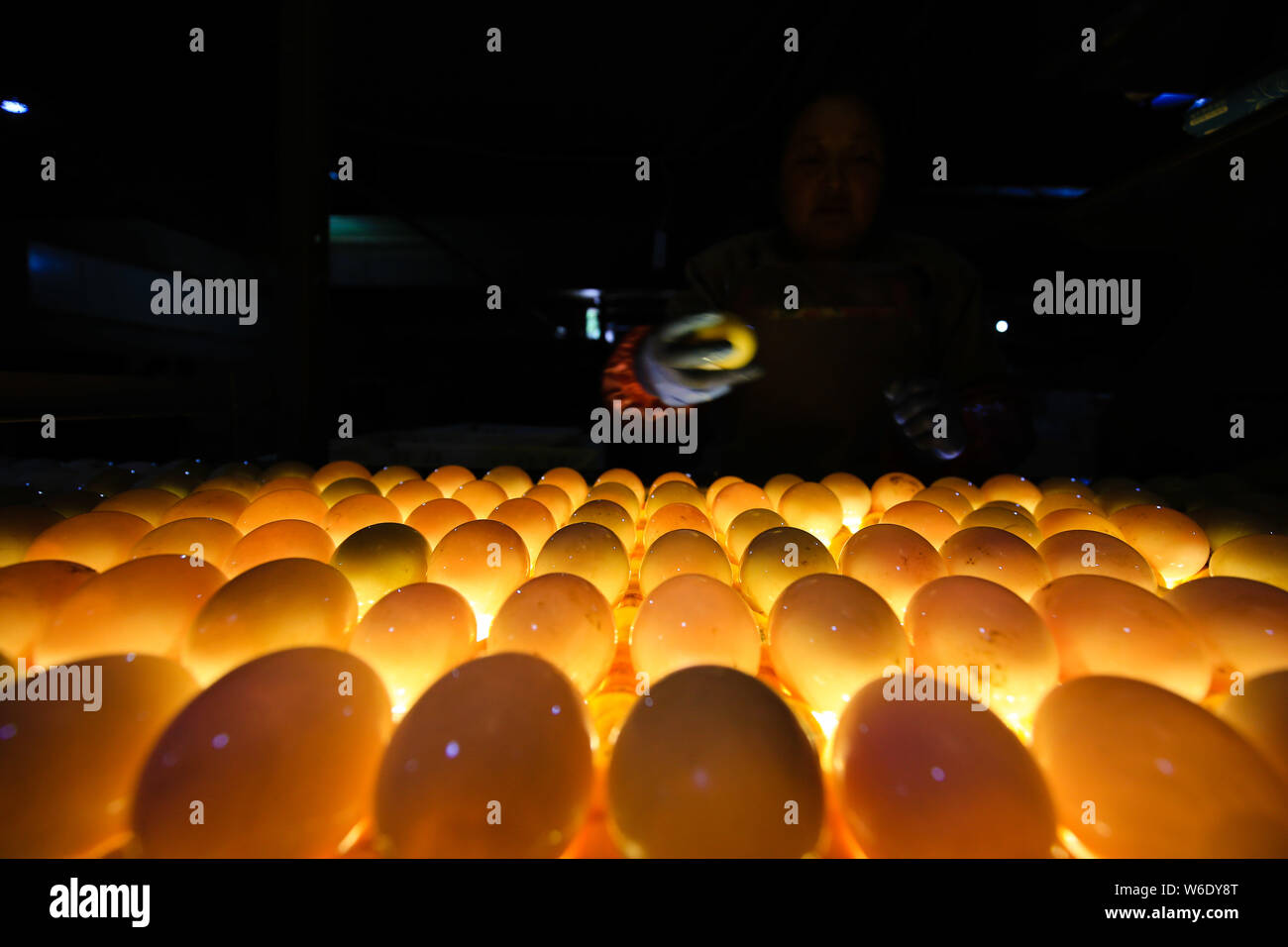 A worker checks on the salted duck eggs under the lights to pick up the ...