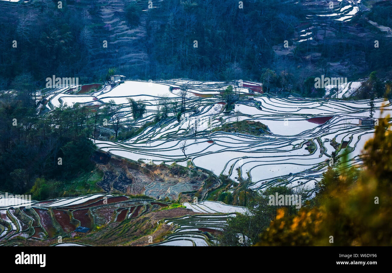 --FILE--Landscape of terraced rice fields of the Honghe Hani Rice ...