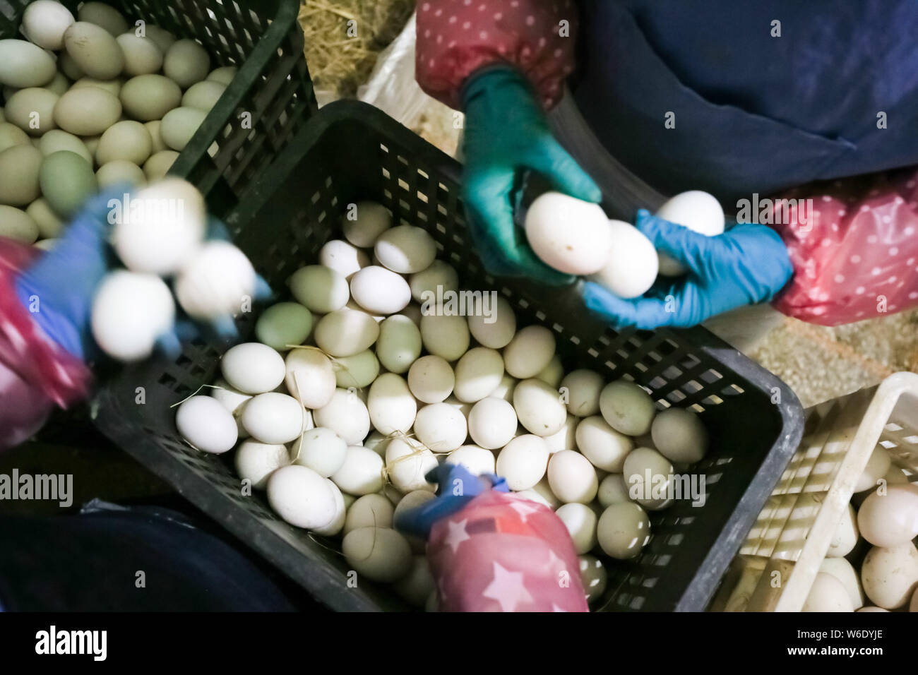 Gaoyou hi-res stock photography and images - Alamy