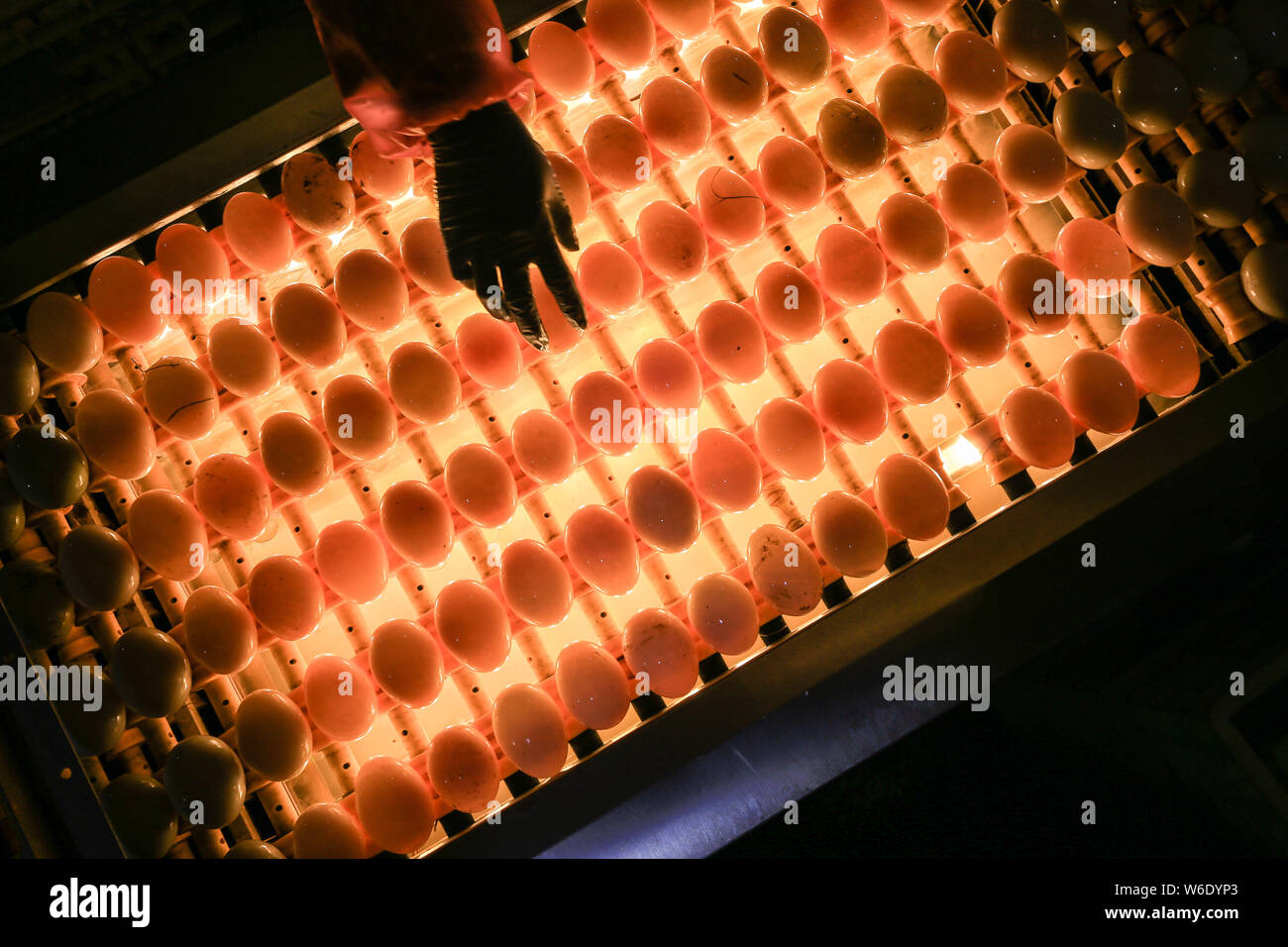 Double yolk duck eggs in gaoyou hi-res stock photography and images - Alamy