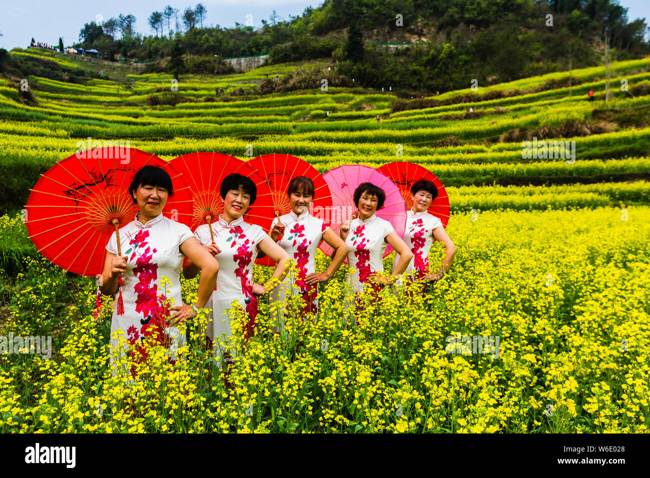 Chinese women present cheongsam, also known as qipao in Chinese, during ...