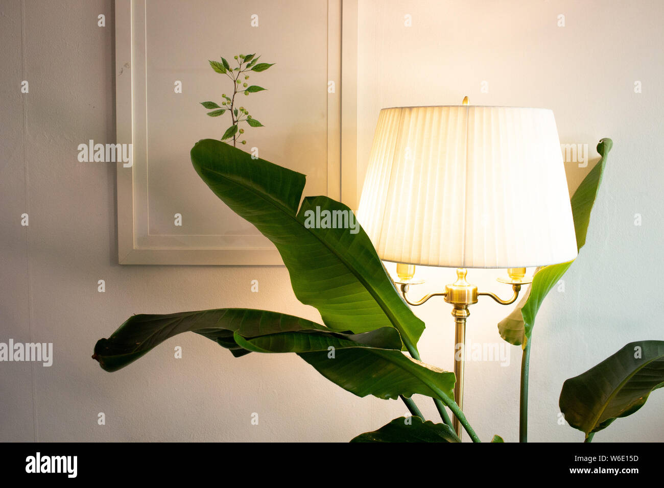 Lampshade drawing hi-res stock photography and images - Alamy