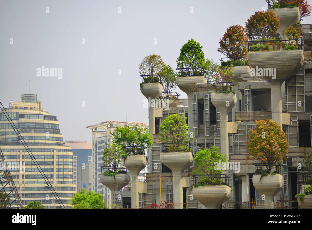 A view of high-rise buildings with terraces of different heights ...