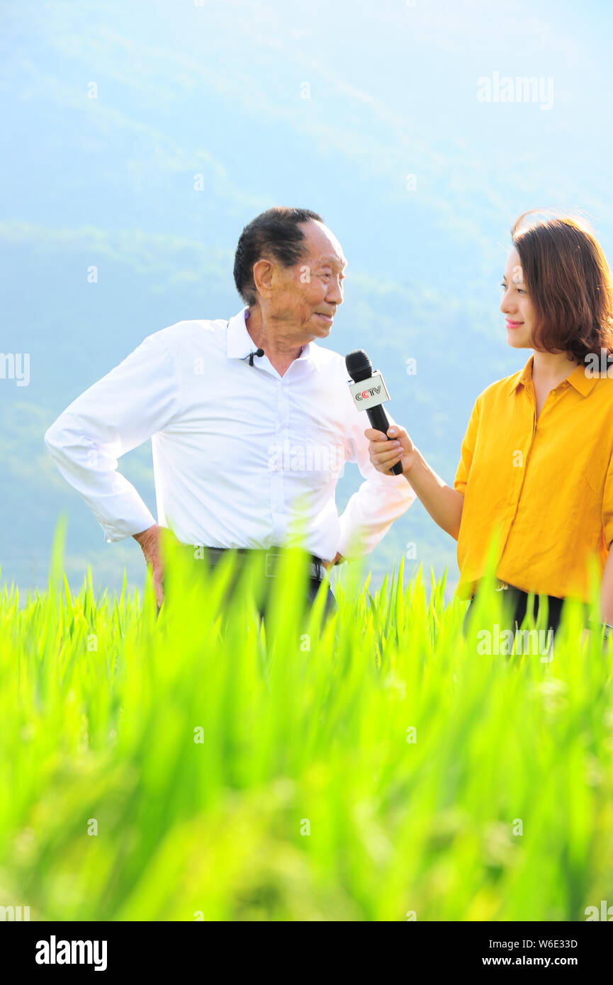 Chinese agricultural scientist and educator Yuan Longping, left, known ...