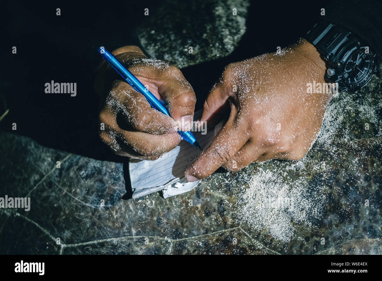 Tortoise rehabilitation hi-res stock photography and images - Alamy