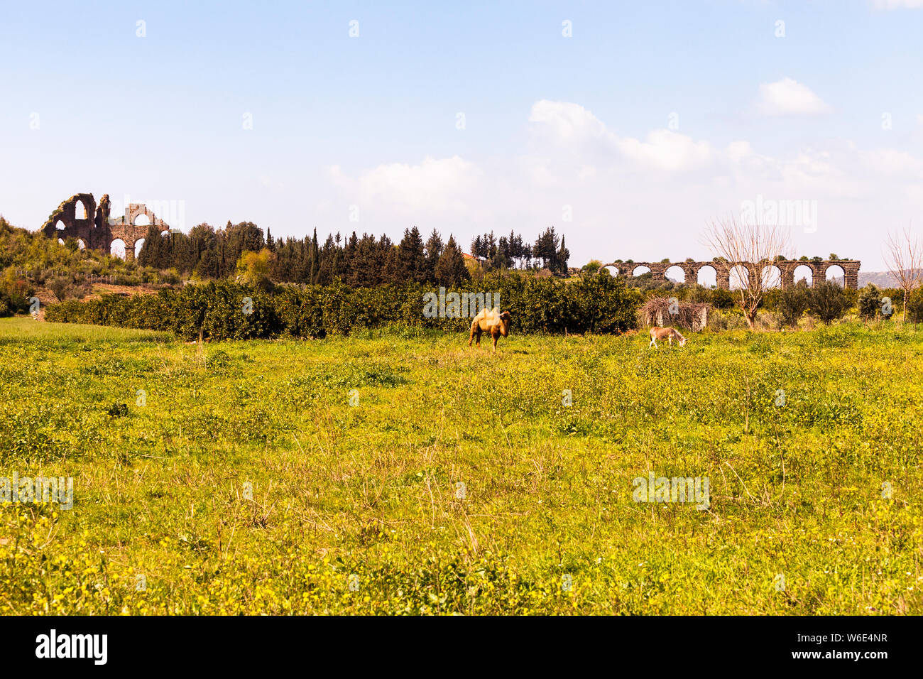 Inverted siphon of the Roman aqueduct of Aspendos. Antique Ruins ...