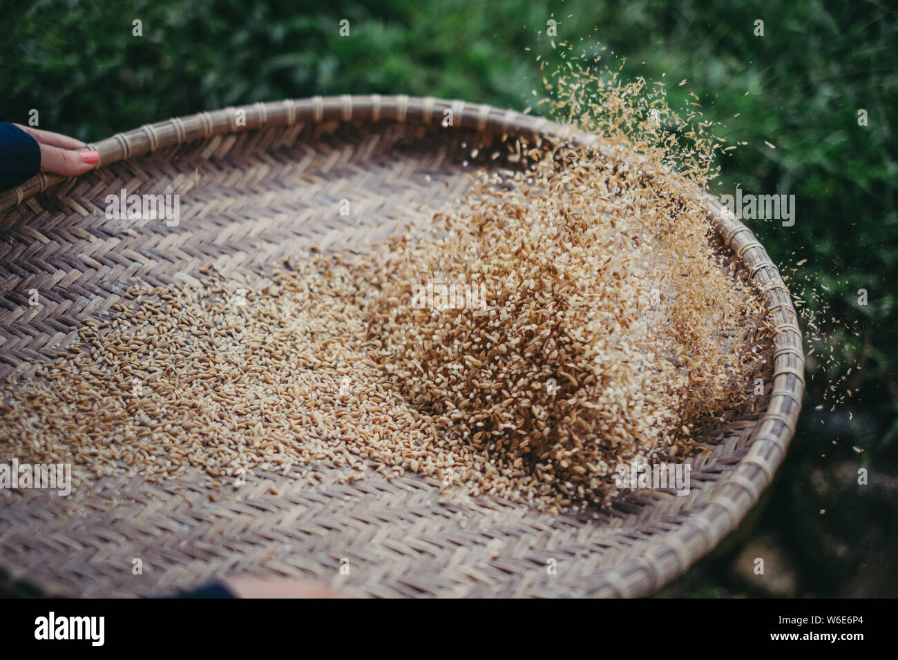 Millet in basket hi-res stock photography and images - Alamy