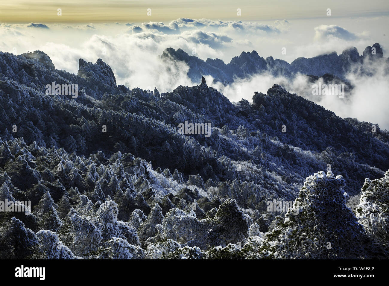 Landscape of rime-covered trees at the Huangshan Mountain scenic spot in Huangshan city, east ...
