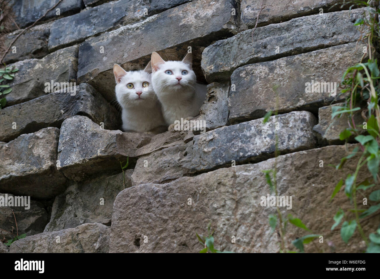 Nanjing circumvallation hi-res stock photography and images - Alamy