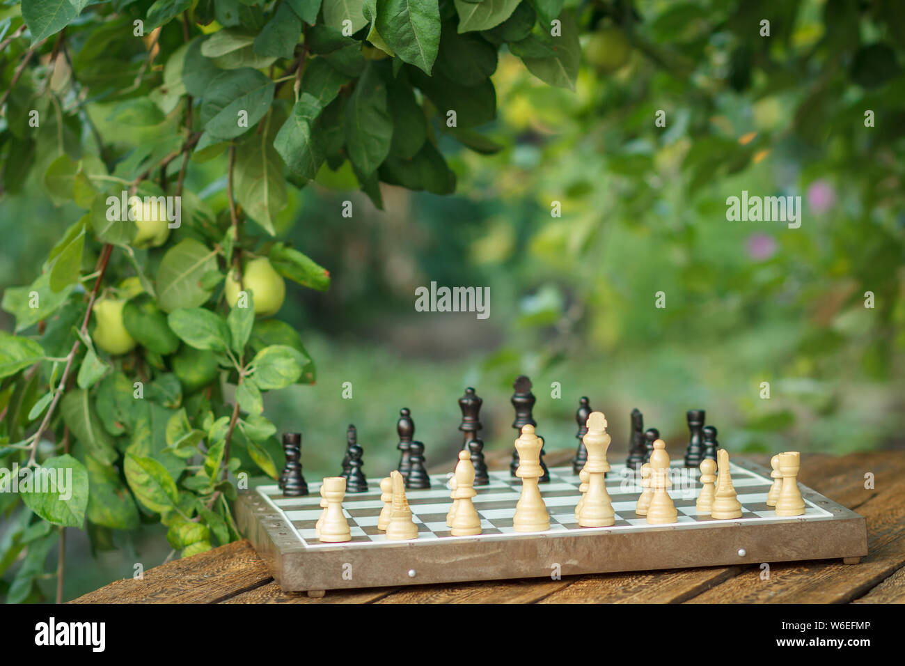 Chess board with chess pieces on wooden desk with branches of apple ...