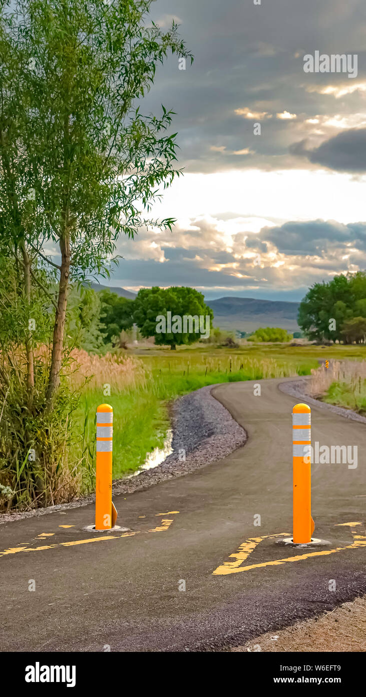 Vertical frame Yellow traffic delineator posts on a road with view of ...