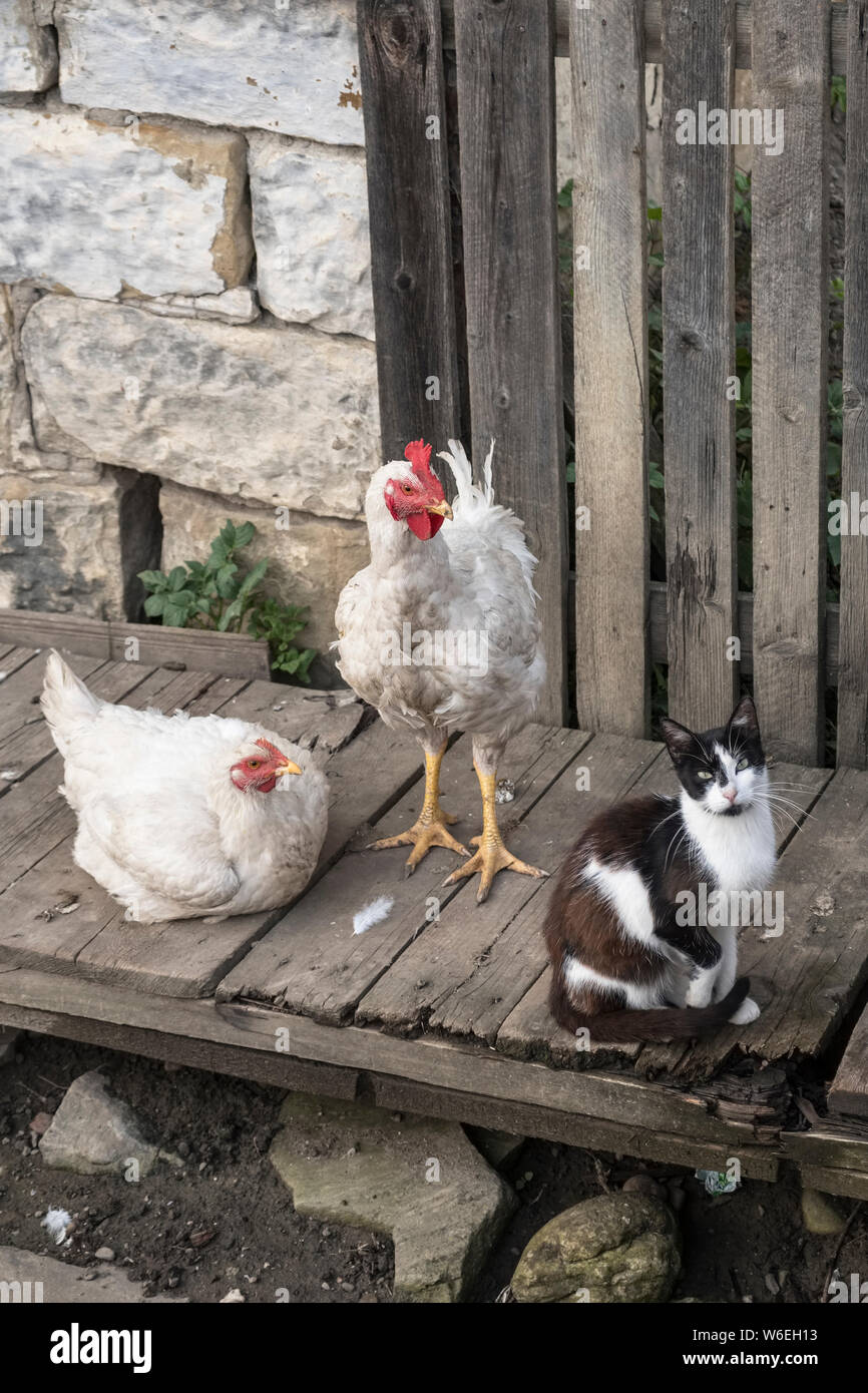 Romanian village hi-res stock photography and images - Alamy