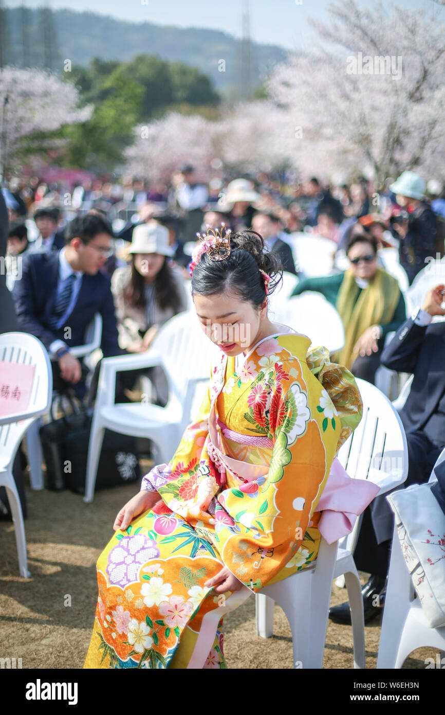 Turtle head hi-res stock photography and images - Alamy