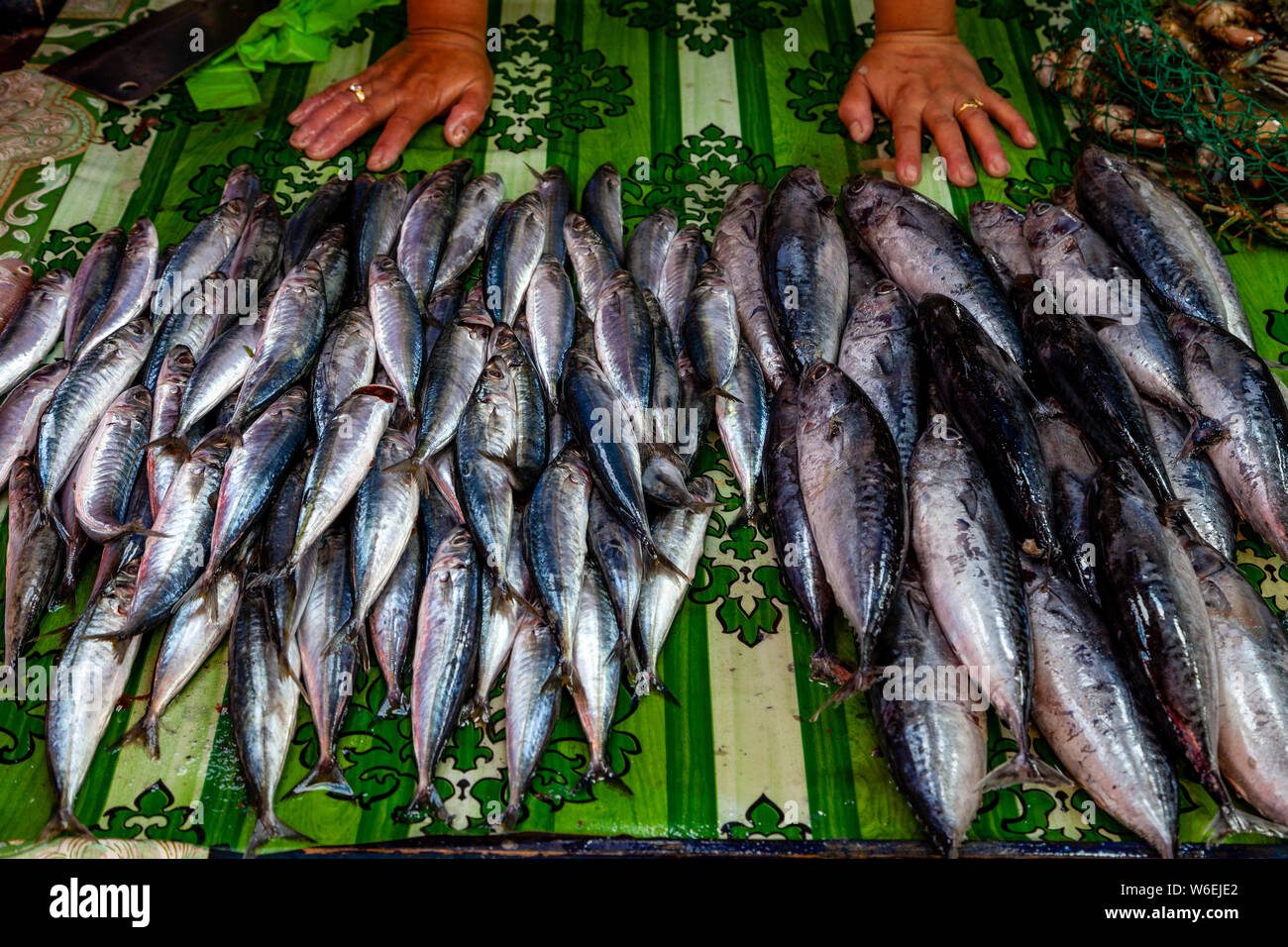 Fresh Fish For Sale At Carbon Market, Cebu City, Cebu, The Philippines ...
