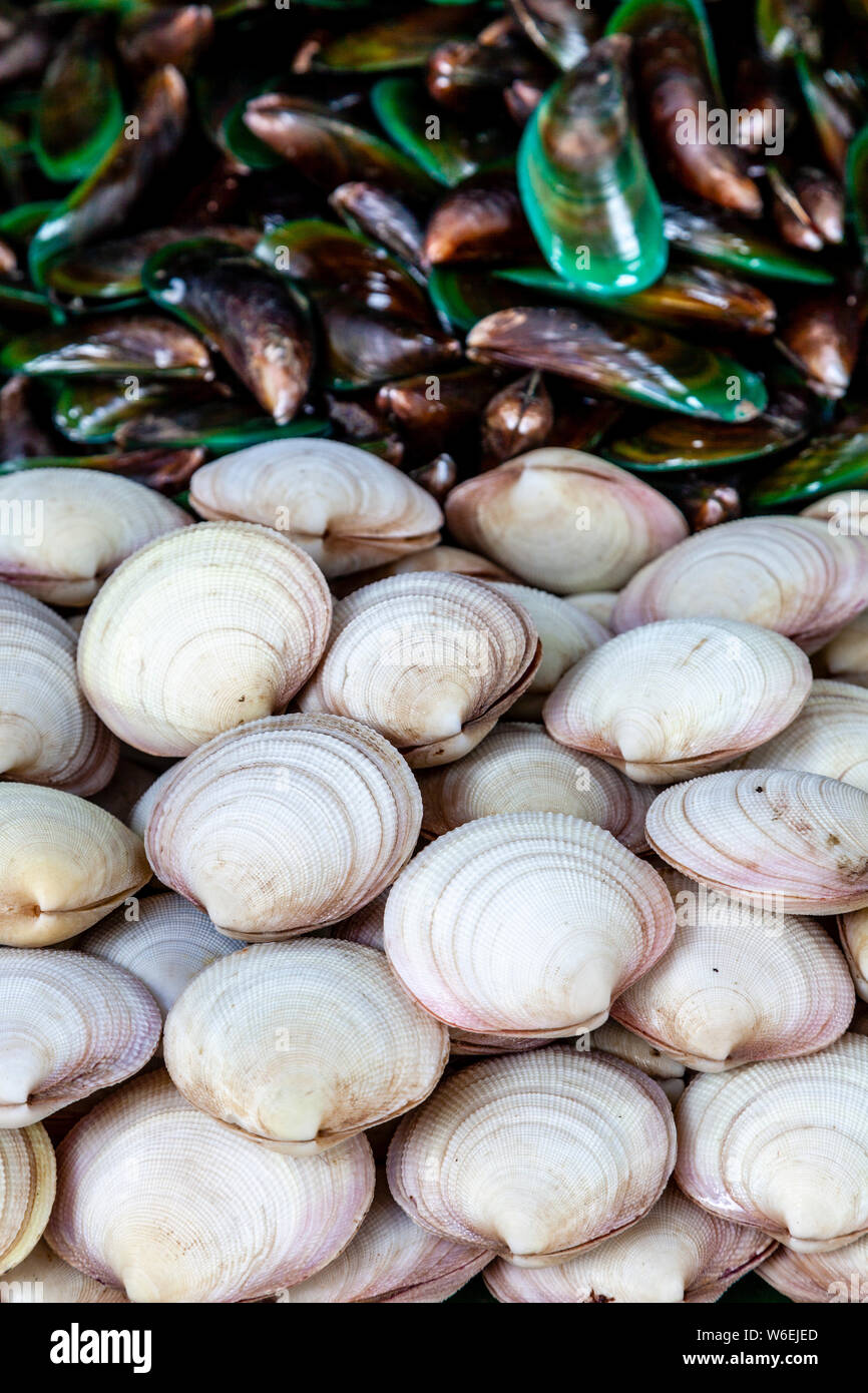 Fresh Seafood For Sale At Carbon Market, Cebu City, Cebu, The ...