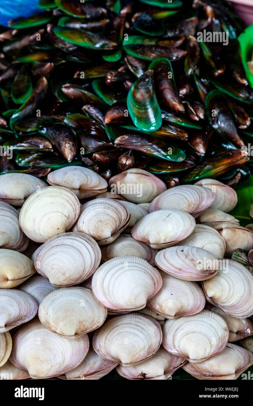 Fresh Seafood For Sale At Carbon Market, Cebu City, Cebu, The ...