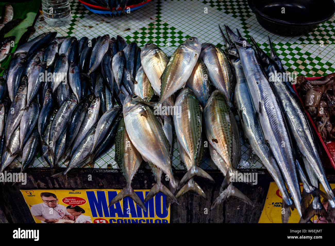 Fresh Fish For Sale At Carbon Market, Cebu City, Cebu, The Philippines ...