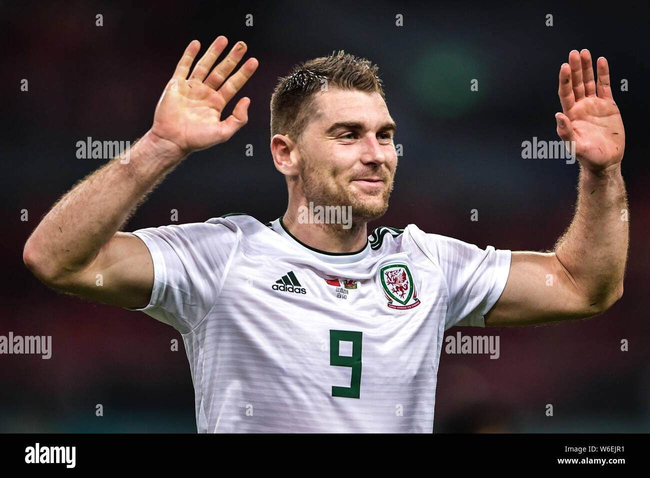 Sam Vokes of Wales national football team celebrates after scoring ...