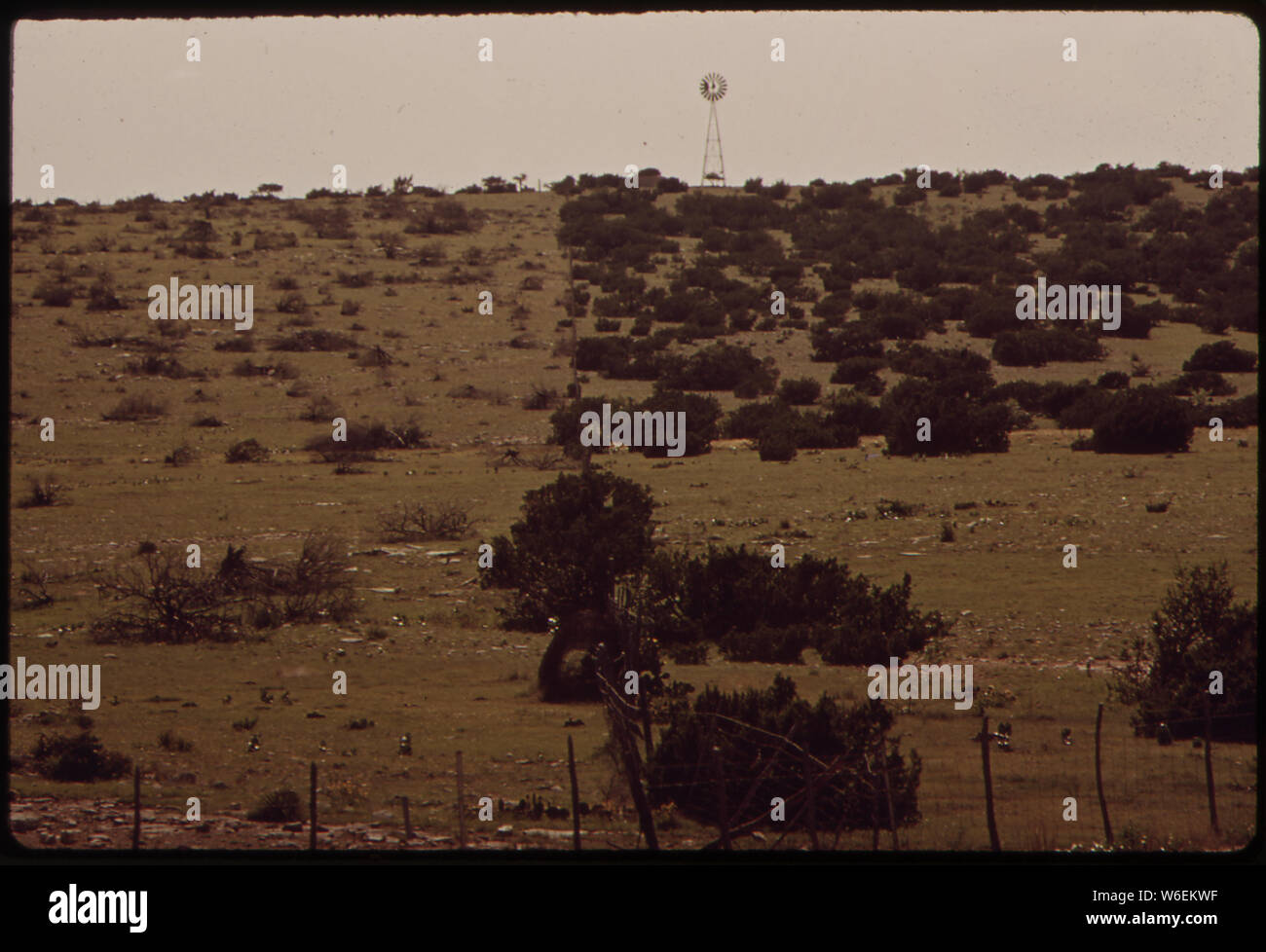 A FENCE DIVIDES CLEARED LAND FROM TREE-COVERED LAND Stock Photo - Alamy