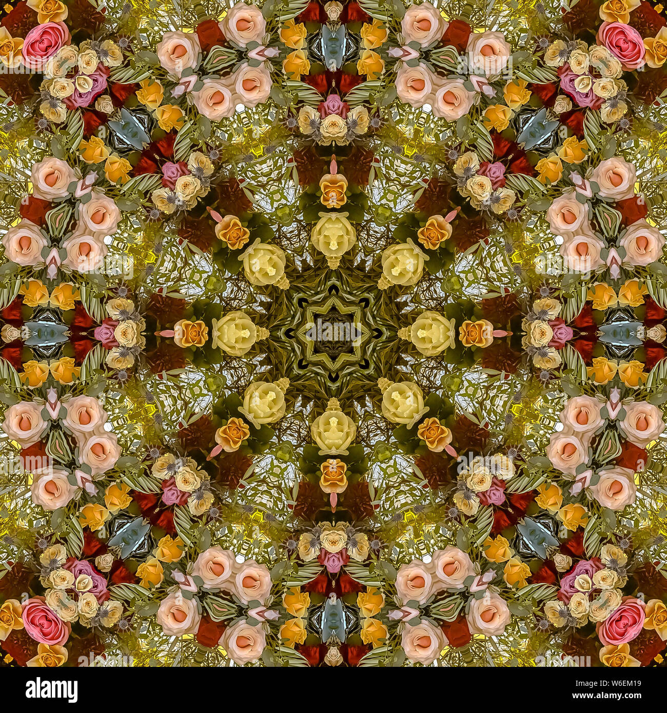 Square frame Colorful display of flowers in circular arrangement at ...